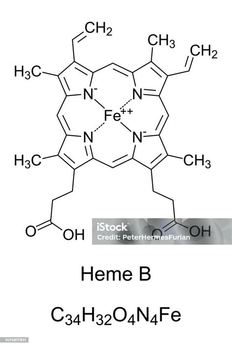 Heme B Haem B Atau Protoheme Ix Rumus Dan Struktur Kimia Ilustrasi Stok Unduh Gambar Sekarang