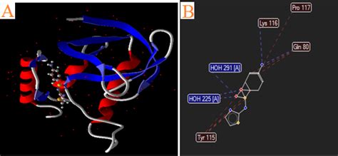A Crystal Structure Of S Aureus Nuclease Docked With Sulfathiazole