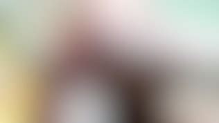 Obese Bears Breed In Wild Compilation Video Porno Gratis Youporngay