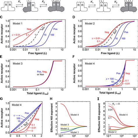 The Effects Of Positive And Negative Cooperativity On Response