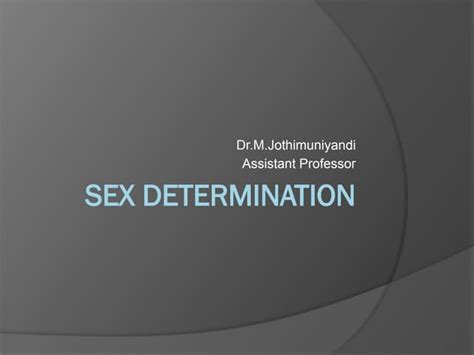 Sex Determination In Drosophila And Human Pptx