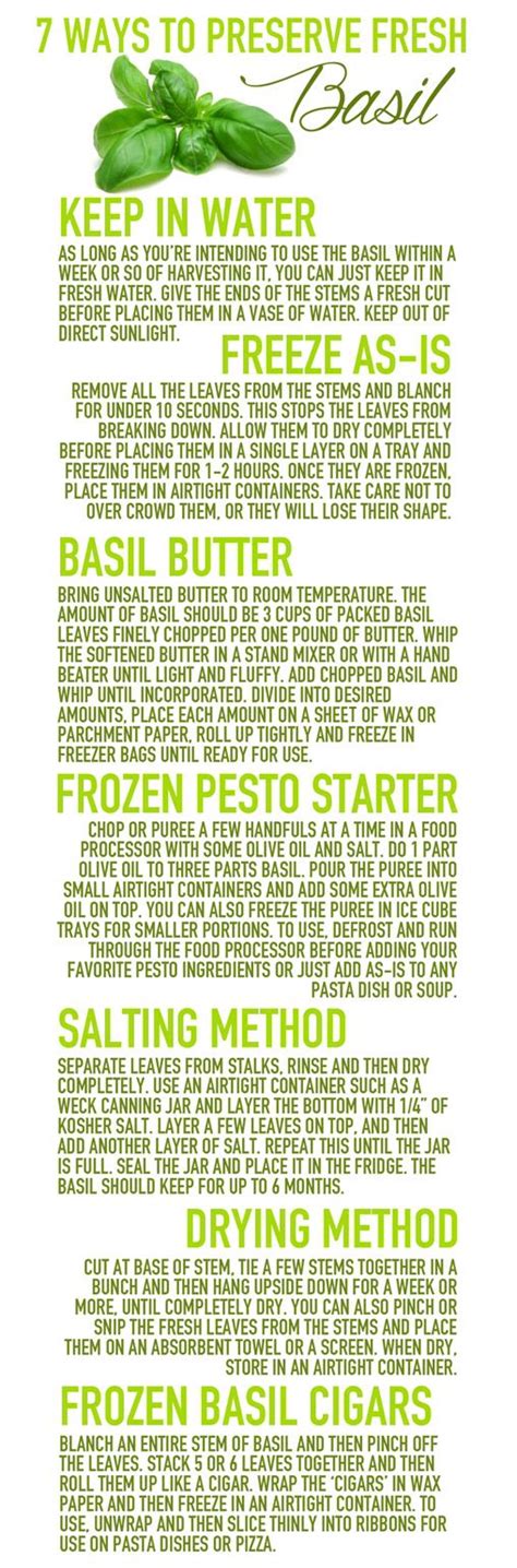 Basil Tips Garden Recipes Herb Recipes Basil Recipes