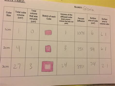 Diffusion In Agar Cubes Gloria S Blog
