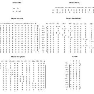 Matrices Of Initial States State State Transitions One For Each Of Download Scientific