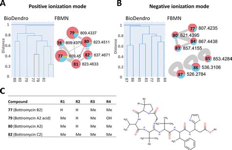 Visualization Of Fragmentation Spectra For The Putative Bottromycins