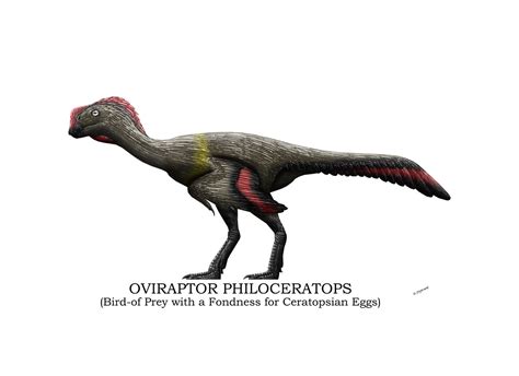 Oviraptor Philoceratops Profile By Hamish1512201 On Deviantart