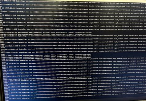Its So Beautiful To Watch Your Node Connecting To Peers And Verifying Blocks After A Power