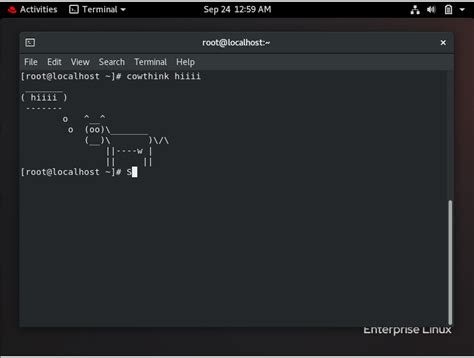 Fun While Using Fun Commands In Linux By Sudhanshu Tiwari Sep 2021 Medium
