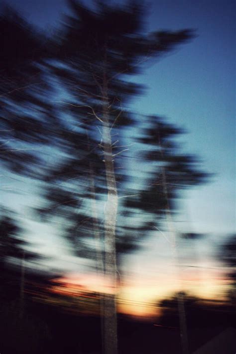 Tree Motion By Shaina74 On Deviantart