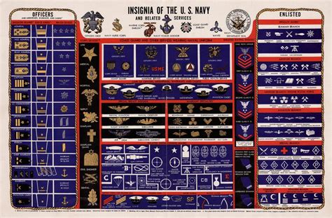 The Complete Guide To Navy Ranks And Insignia