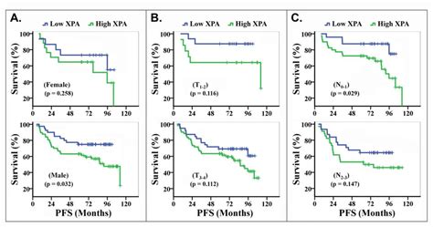Figure S3 Stratified Analysis For Progression Free Survival Pfs