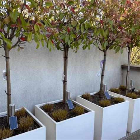 Tuinverlichting Op Zonne Energie Wooninspiratie