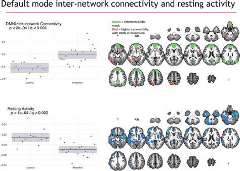 Functional Connectivity Group Differences Illustrated With Dmn
