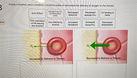 [answered] 31 18 Predict Whether Each Condition Would Increase Or Kunduz