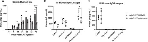 Human Igg Expression At Various Mucosal Surfaces And In The Serum After