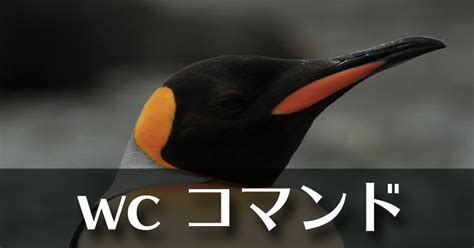Linuxコマンドwcテキストファイルの行数単語数バイト数を数える のITエンジニアブログ