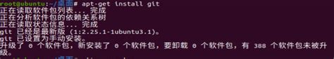 ubuntu零基础教学 ubuntu20 04安装git及使用，并上传代码至gitlab服务器 ubuntu20 04 git clone