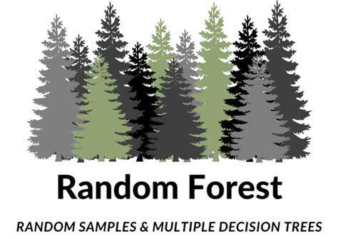 Building A Random Forest Model From Scratch With Python By Enozeren Medium
