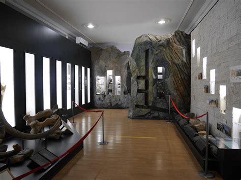 По природе края — ГБУКИ РБ Национальный музей РБ