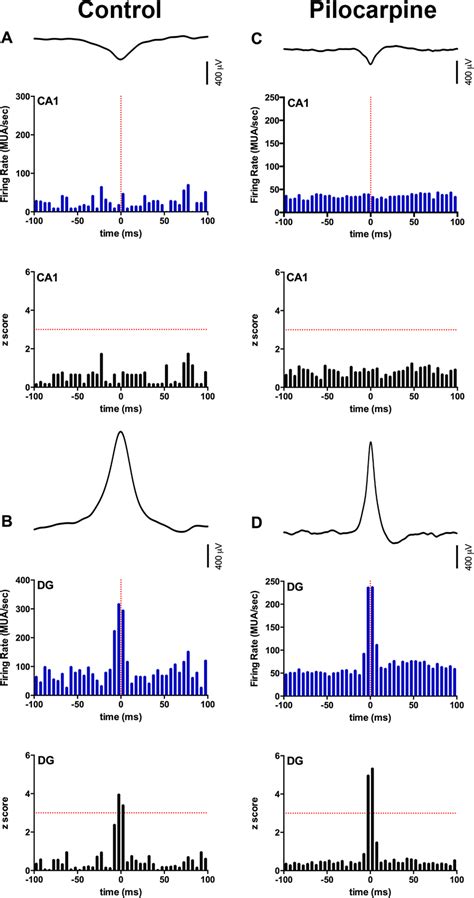 Perievent Time Histogram And Z Scores Of Multiunit Activity In The