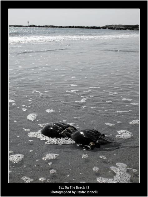 Sex On The Beach By ScaperDeage On DeviantArt