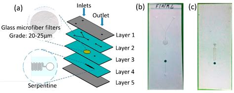 Sensors Free Full Text Novel Cost Effective Microfluidic Chip Based