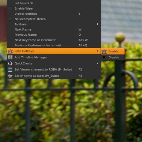 Remapping Viewer Hotkeys For Roto Efficiency — Jeang Jenq Loh