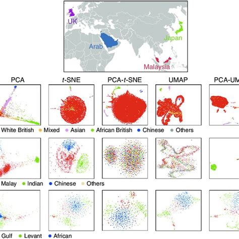 Application Of Dimensionality Reduction Methods To Worldwide