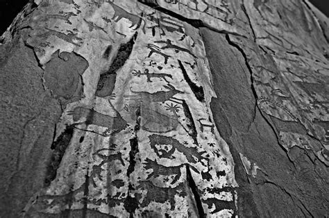 암각화 석기의 선사 시대 예술 석기 시대 알타이 산 러시아 프리미엄 사진