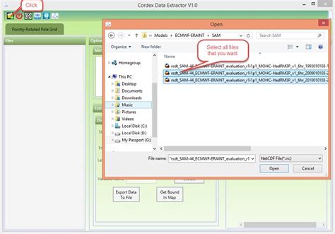 Cordex Data Extractor