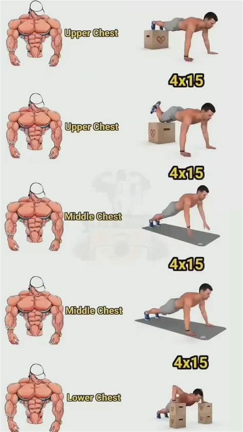 Chest Workout For Fitness Enthusiasts 💪💥 Click Now 66 Chest