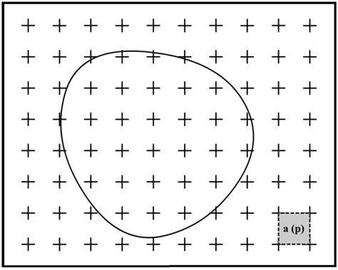 The Point Counting Method For Estimation Of The Cross Section Area Of Download Scientific