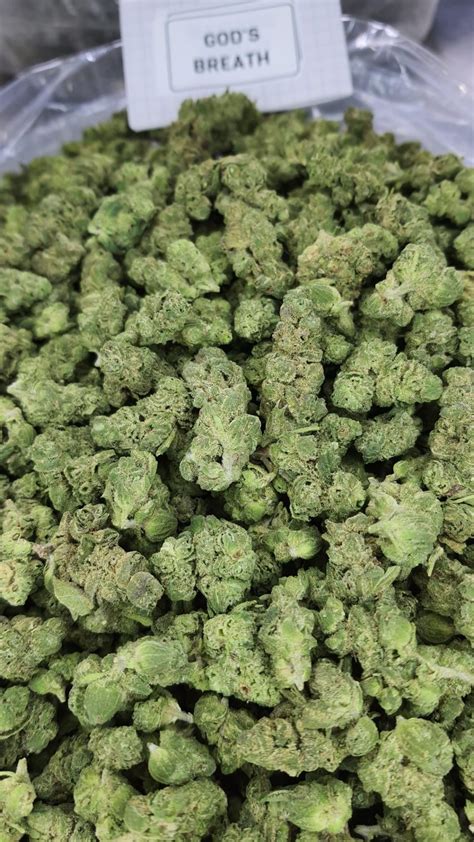 Gods Breath Smalls Light Assist Thca Flower Bcd