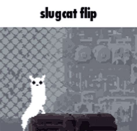 Slugcat Rain World  Slugcat Rain World Descubre Y Comparte 
