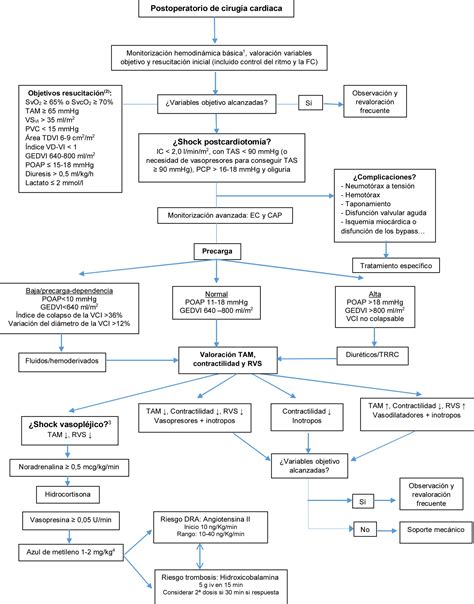 Clinical Management Of Postcardiotomy Shock In Adults Medicina Intensiva