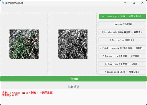 基于bp神经网络的杂草智能识别系统（杂草识别、python项目） 知乎