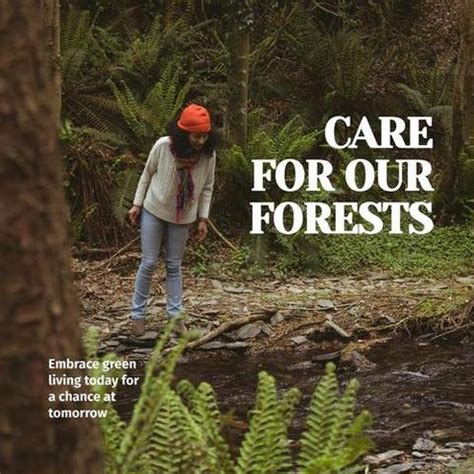 Free Forest Conservation Templates Pikwizard