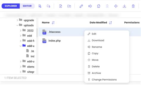 How To Force Wordpress Files To Download Not Open In Browser