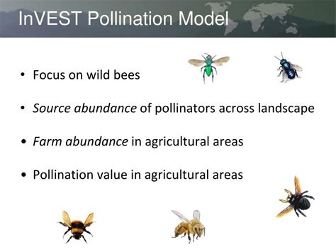 Ppt Invest Crop Pollination Powerpoint Presentation Free Download Id