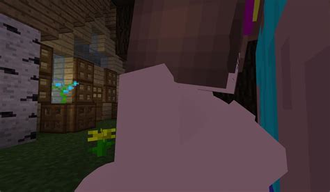 Jenny Pussy Is So Wet Minecraft Sex Mode Game Review FAPCAT