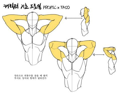 타코작가 正在使用 Twitter：“뒤통수를 잡은 팔에 각도를 만들면 투시로 덩어리가 다르게 만들어진다 Mbuxf8tvpf” Twitter