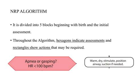 Nals Algorithm 1 Kiran Finalpptx