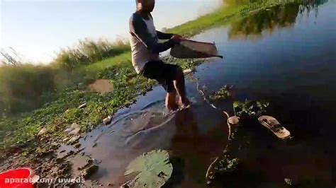 صید ماهی های زینتی قسمت ۳