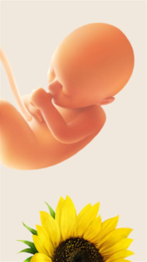 Week By Week Pregnancy App Contraction Timer Apk For Android Download
