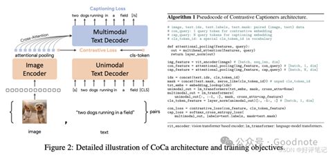 多模态论文笔记——cocacoca模型 Csdn博客