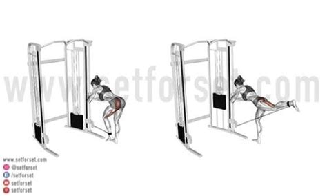 Glute Kickbacks Exercise
