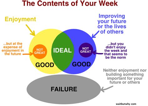 Your Life In Weeks Wait But Why