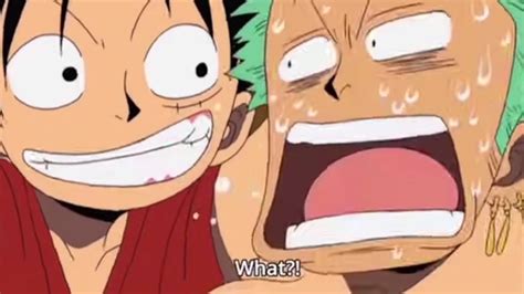Luffy And Zoro Hilarious Moments One Piece Youtube