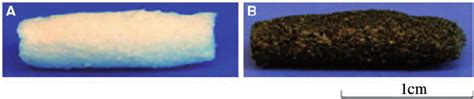 Photographs Of The Degradable Tubular Porous Scaffolds From Pcl A