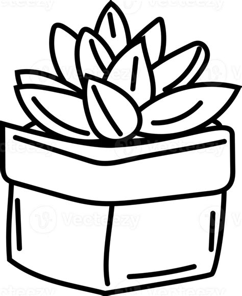 Square Succulent Pot Outline 68408878 Png